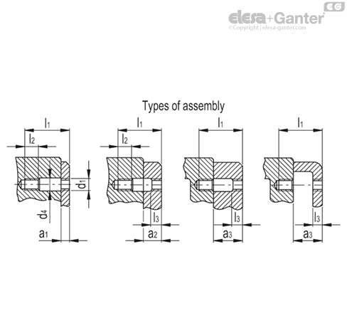 AISI 304 stainless steel threaded stud | Elesa+Ganter
